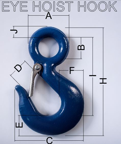Alloy Eye Hoist Hook With Latch | Pacific Industrial Supply Co.